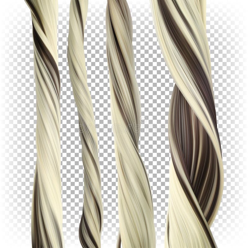 A Set of Light Colored Curls Twisted into a Braid. Vector 3D Realistic ...