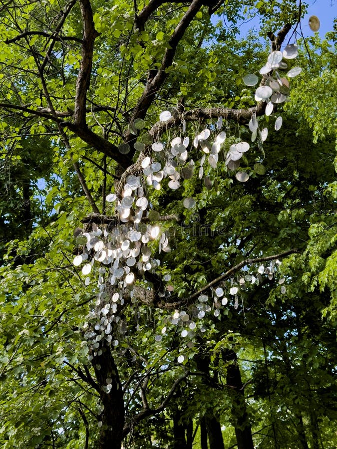 Art Installation of Hanging Discs on Tree in Park Stock Image - Image ...