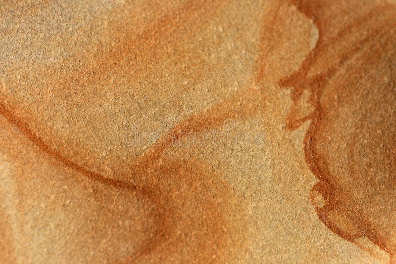 Art in Nature stock photo. Image of brown, nature, pattern - 6594316
