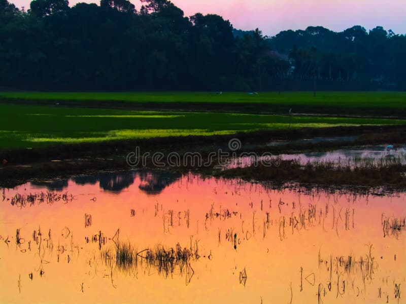 An Art by the Nature with an Extraordinary Colour Combination Stock ...