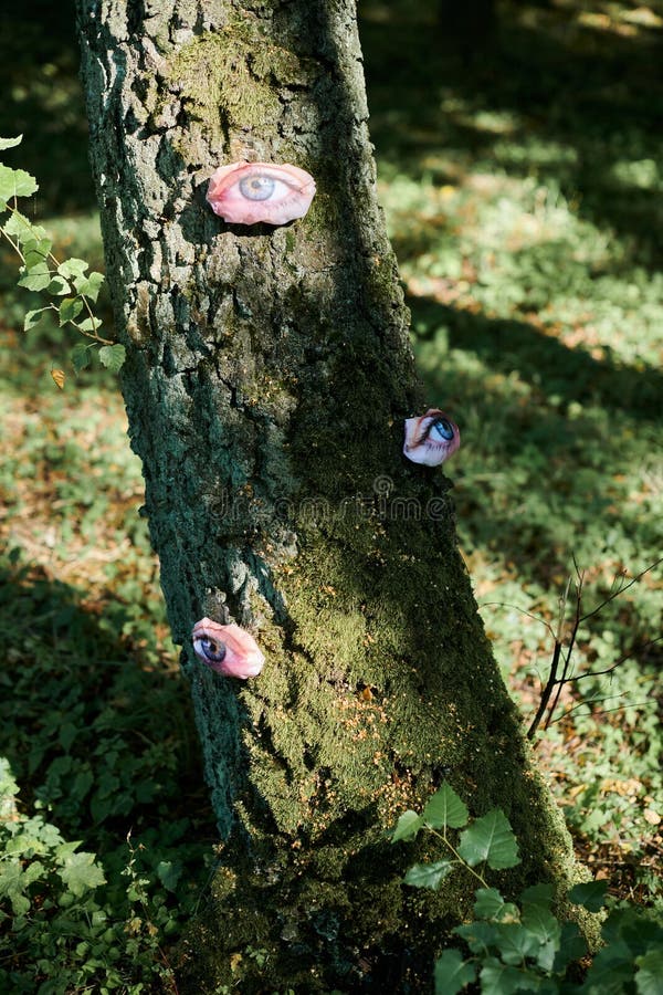 Tree Sight stock image. Image of tree, sight, mark, carved - 138780411