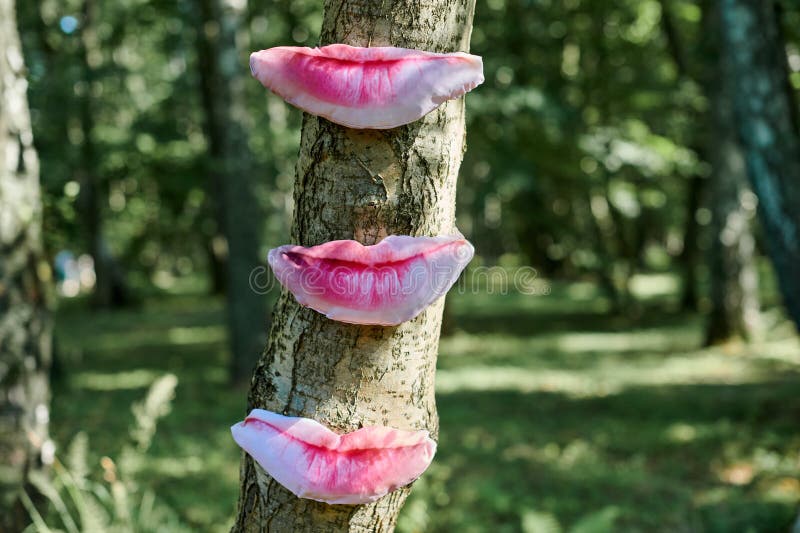 Art Object of Human Lips on Tree Trunk in Green Forest Background ...