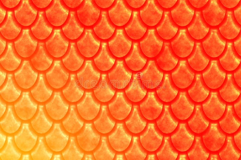 Orange Color of Abstract Background Stock Illustration - Illustration ...