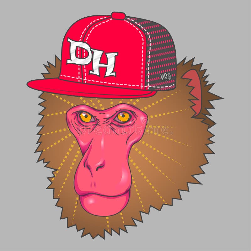 Art Pink Monkey Face Wearing a Rad Cap Stock Vector - Illustration of ...