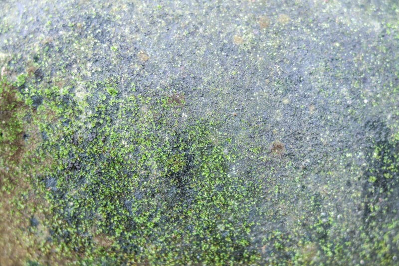 Art of Plaster 4 stock photo. Image of corridor, displays - 126775728