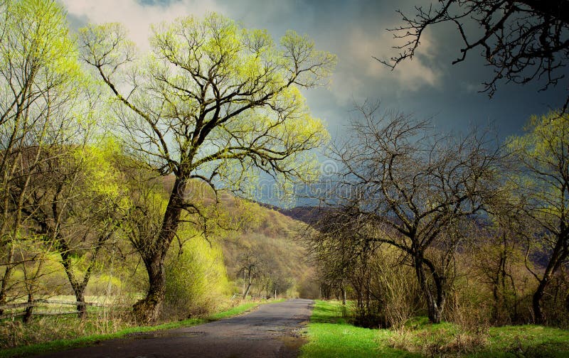 Art Rural Landscape. Spring Countryside Landscape with Spring Trees and ...