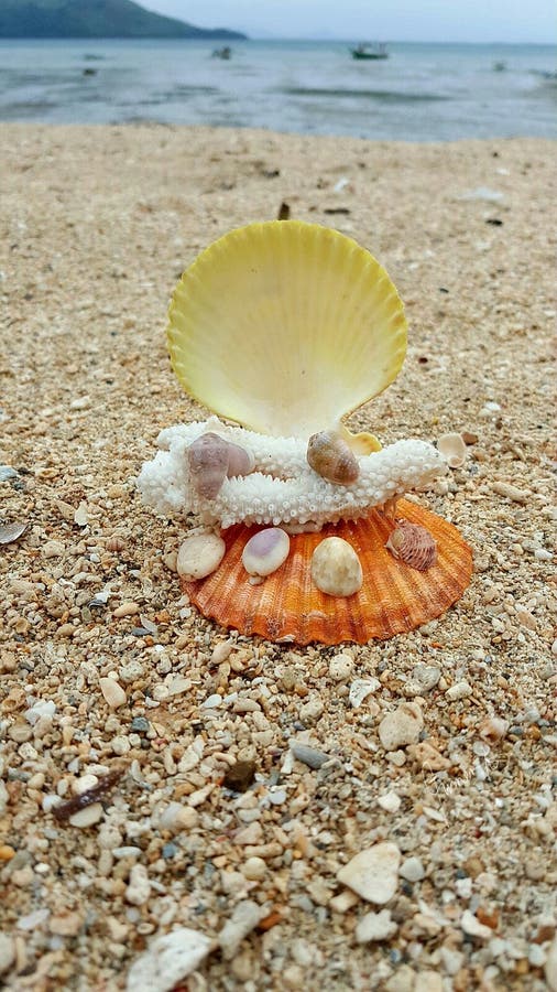 Art by the sand stock image. Image of isla, beach, marine - 97075713