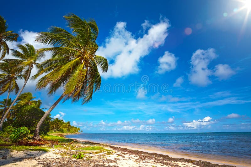 Seaside view with blue sky stock image. Image of adjacent - 277481113