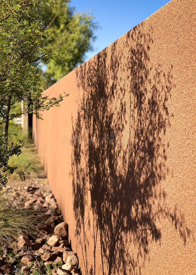 The Art of Shadows of Trees Throwing on the Wall. Stock Photo - Image ...