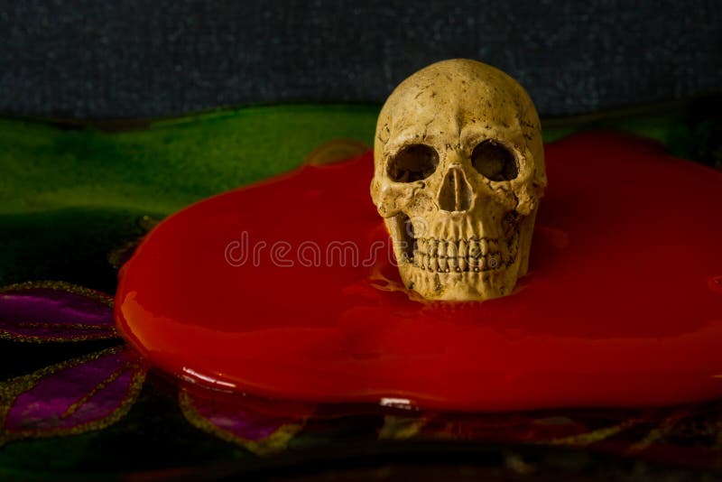 Art skull stock photo. Image of diary, biology, head - 58794124