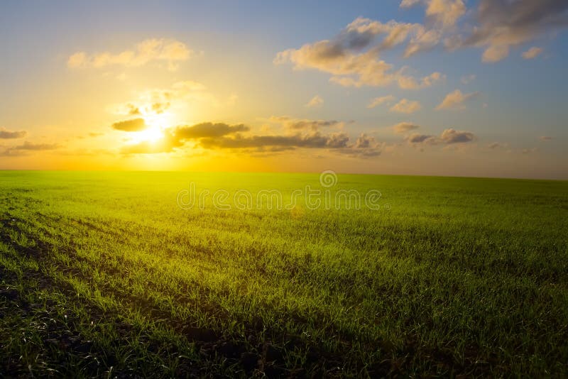 Art Spring Field, Sunrise and Blue Sky Stock Image - Image of view ...