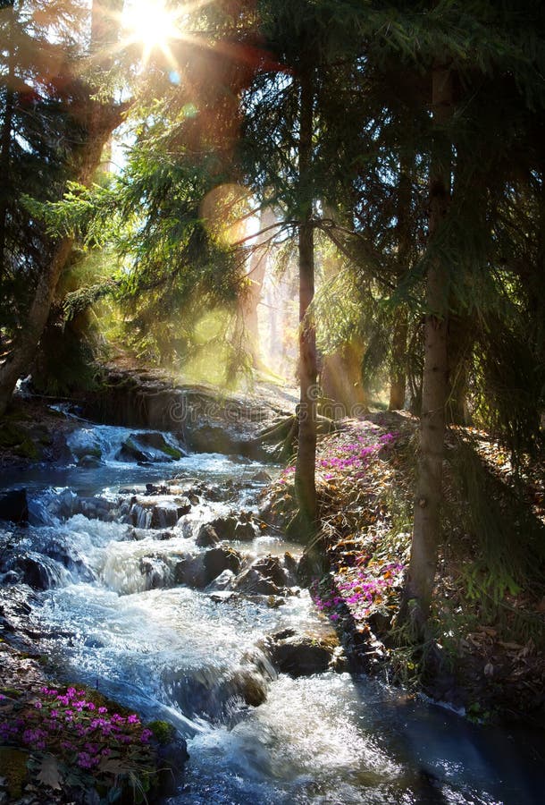 Art Springtime Garden with Spring Water Stream and Spring Flowers Stock ...