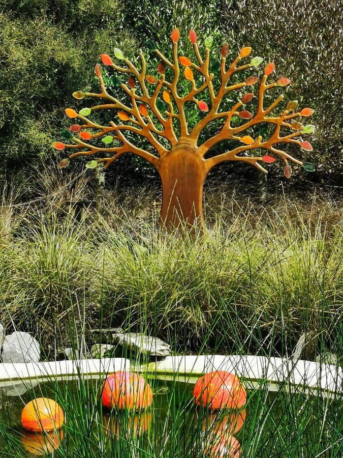 A Small Pond with a Fountain in the Middle Located Near the Forest ...