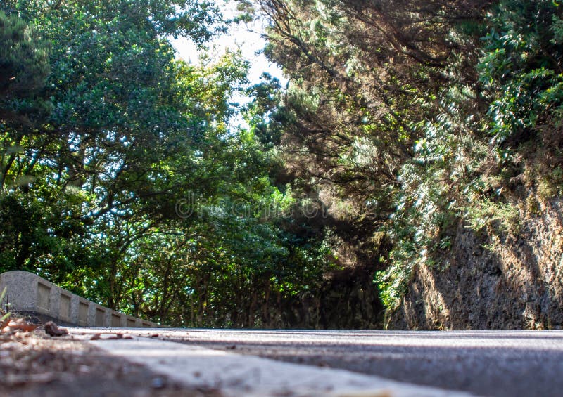 Art view from a curvy road stock photo. Image of roadway - 142097922