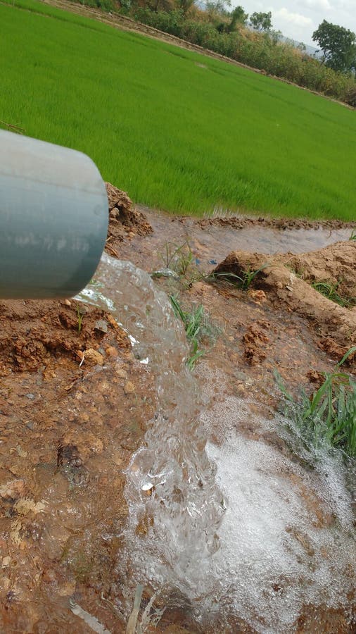 Art of Water Bubble and Greenery Stock Photo - Image of greenery, water ...
