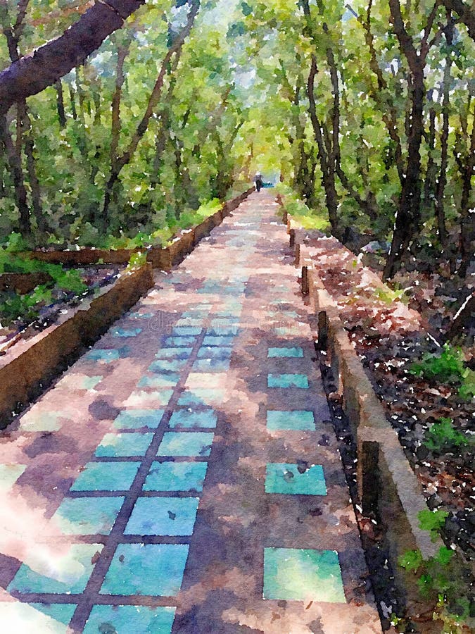 Watercolor of Walkway in Forest Stock Illustration - Illustration of ...