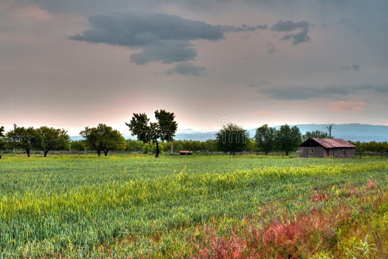 Artashat, Armenia stock photo. Image of greenfields, trees - 41147090