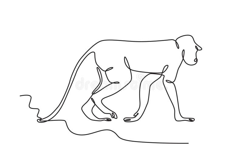 A langur is walking stock vector. Illustration of wild - 303155593