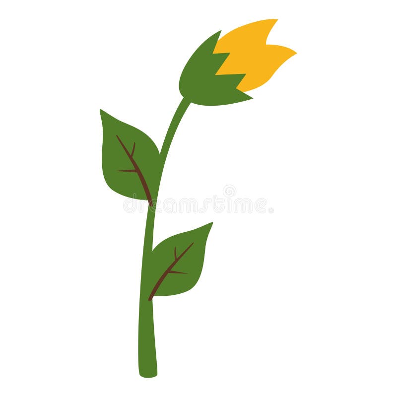 2d Illustration of Green Plant with Yellow Budding Flower Cartoon Stock ...