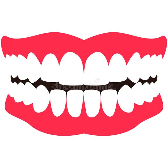 2d Illustration of Cartoon Teeth Stock Illustration - Illustration of ...
