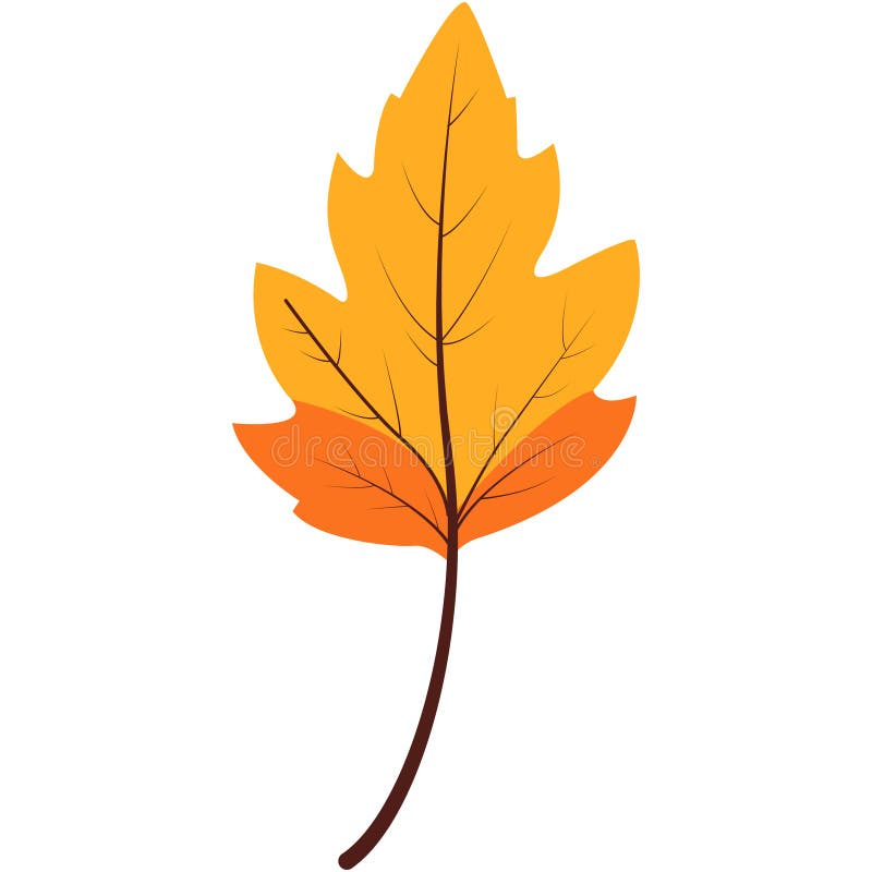 2D Illustration of Narrow Autumn Leaf with Soft Orange Tips Stock ...