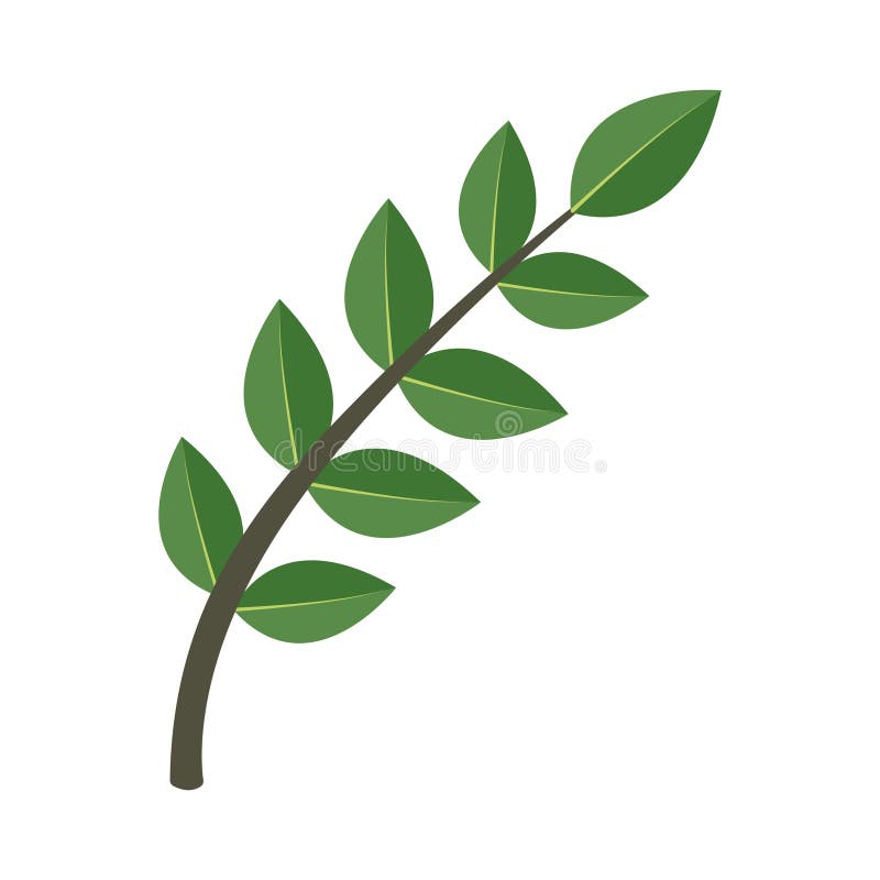 2D Illustration of Olive Green Leaf Branch with Oval Leafs Stock ...