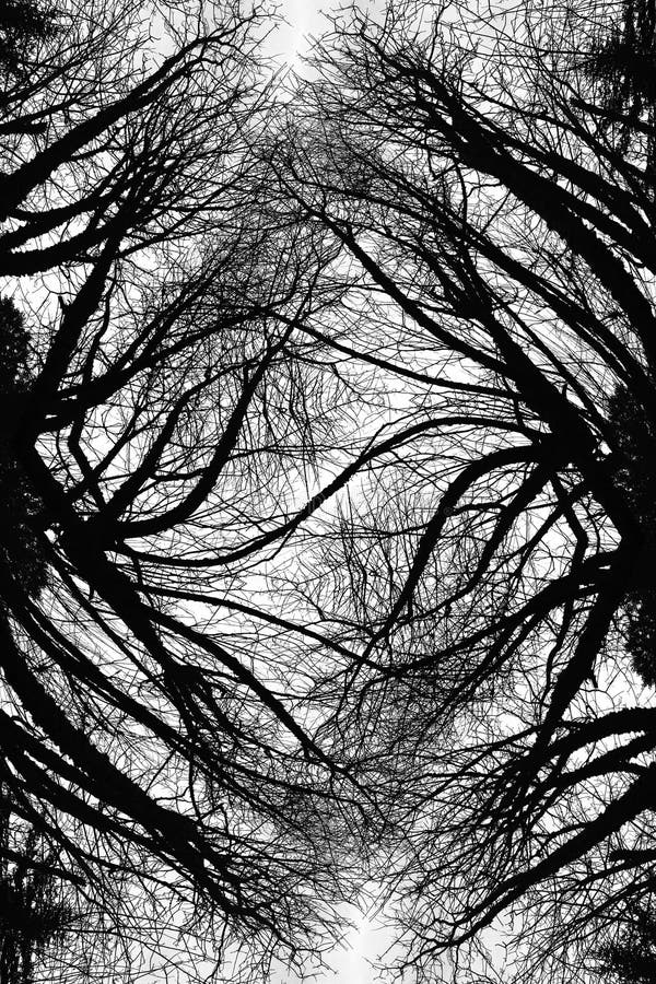 Warped Limbs Art Ilustraciones Stock, Vectores, Y Clipart – (1 ...