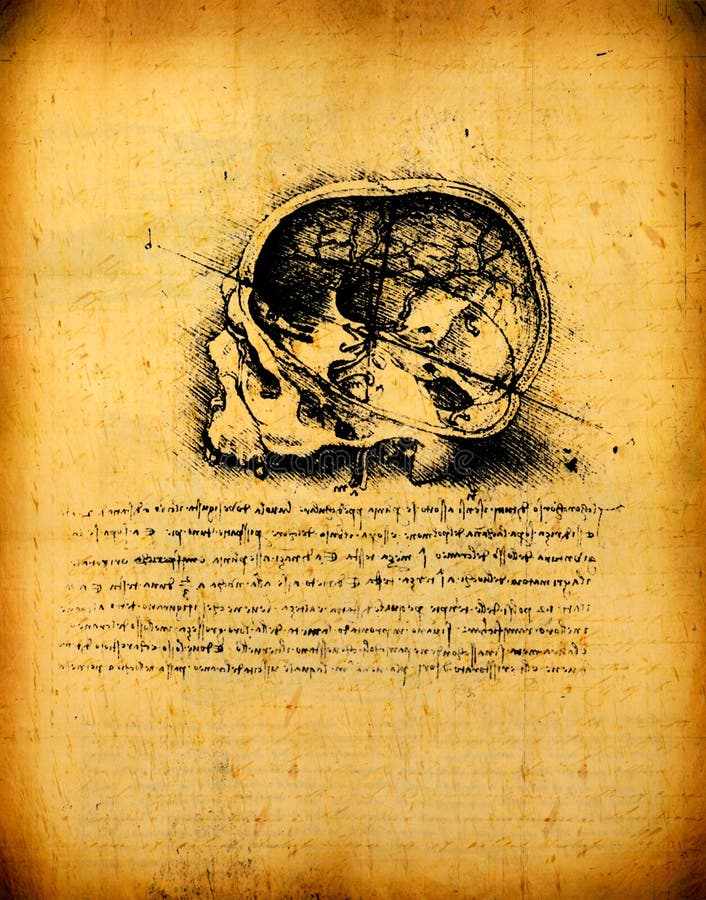 Arte anatómico imagen de archivo. Imagen de detalle, renacimiento ...