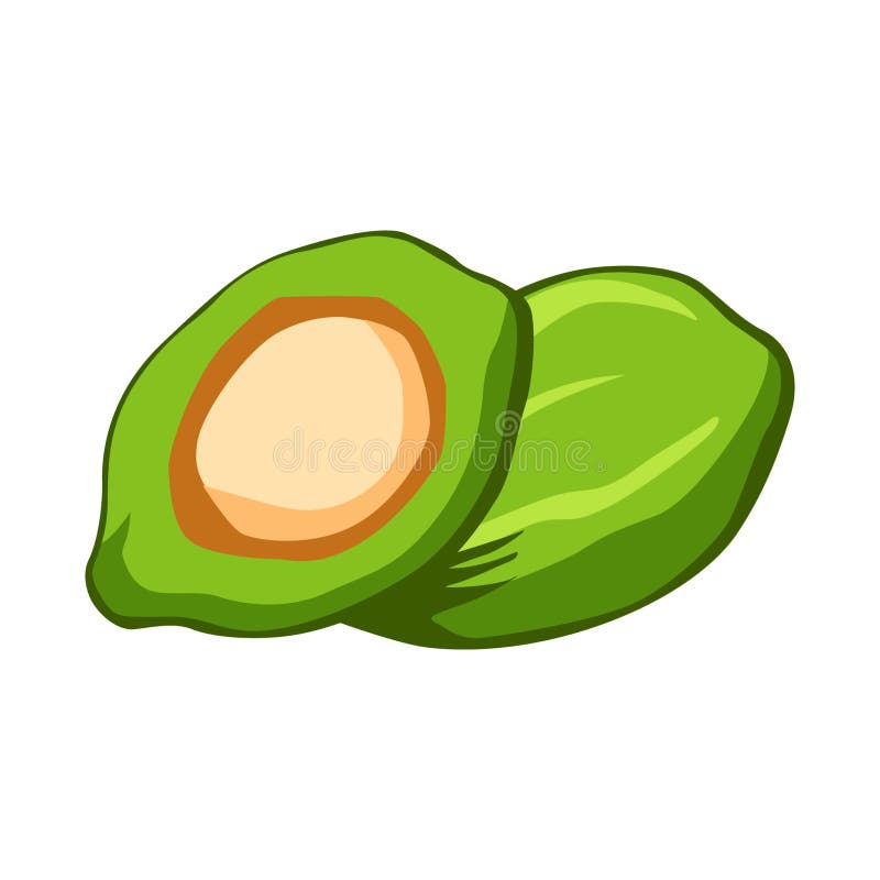 Arte Vectorial De Coco Verde Profesional Ilustración del Vector ...