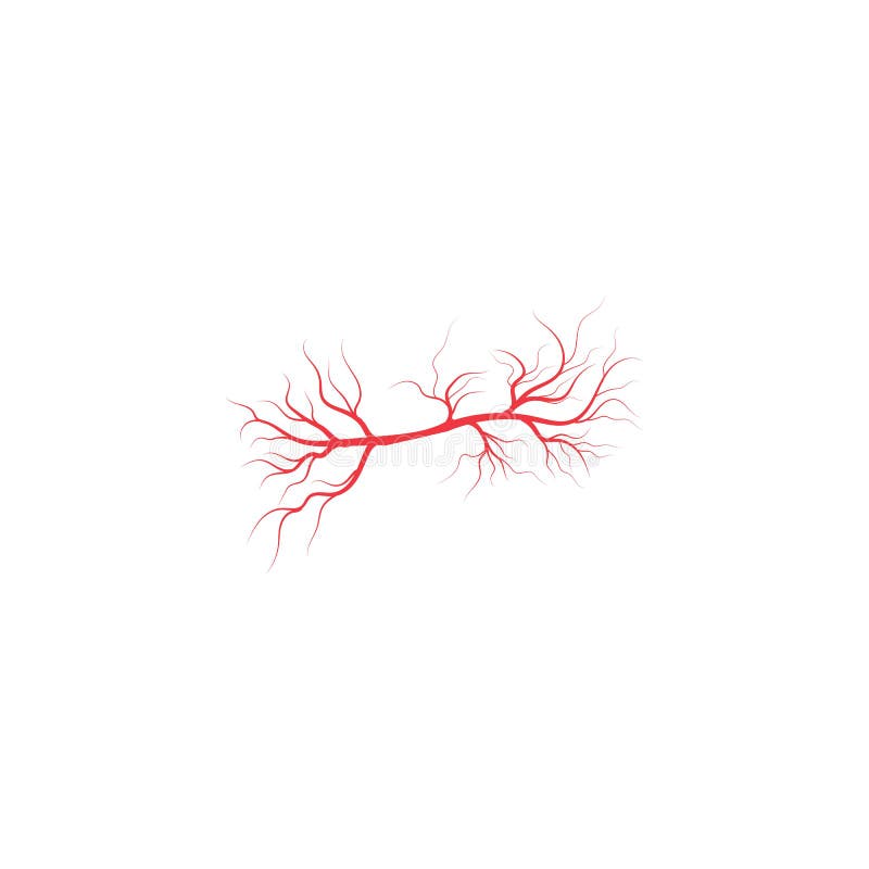 Arteries Icon Vector Illustration Design Stock Vector - Illustration of ...