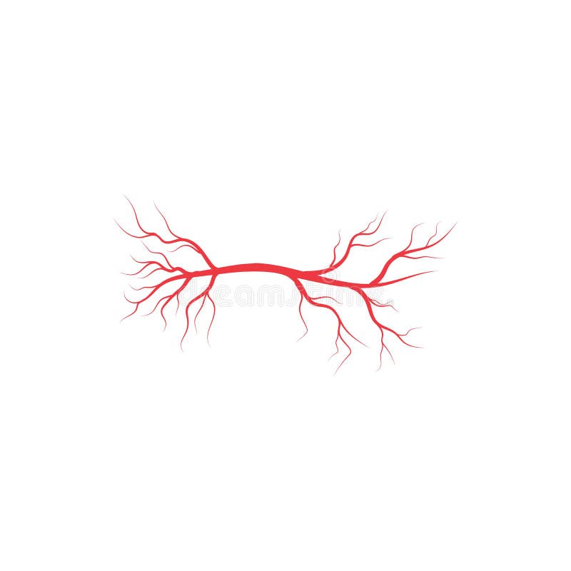 Arteries Icon Vector Illustration Design Logo Stock Vector ...