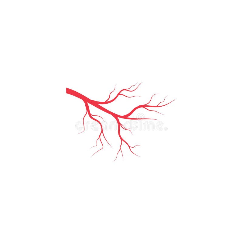 Arteries Icon Vector Illustration Design Stock Vector - Illustration of ...