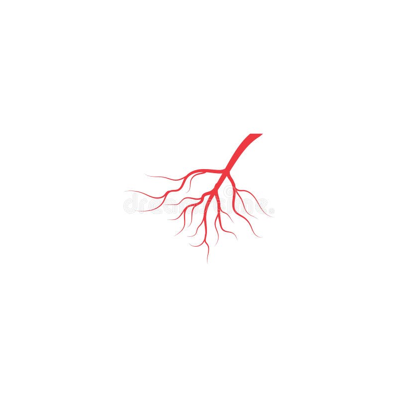 Arteries Icon Vector Illustration Design Stock Vector - Illustration of ...