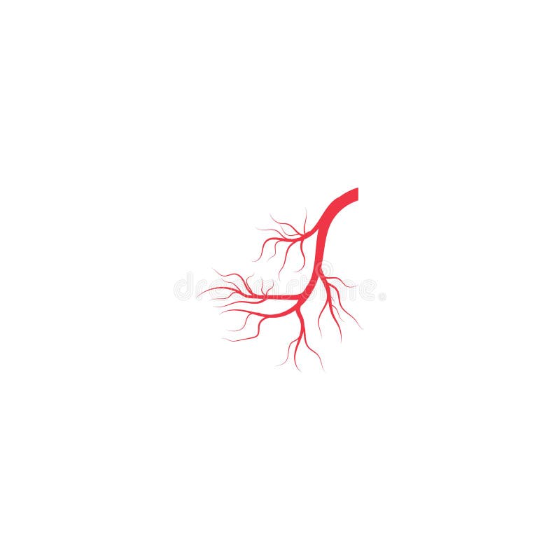 Arteries Icon Vector Illustration Design Logo Stock Vector ...