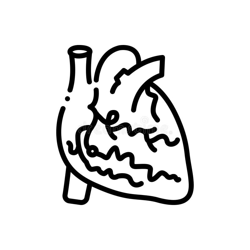 Black Line Icon for Arteries, Veins and Heart Stock Vector ...