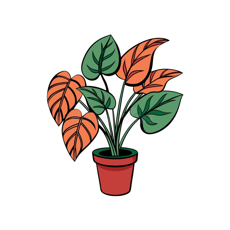 Artful Wild Ginger Houseplant Illustration Stock Photo - Illustration ...
