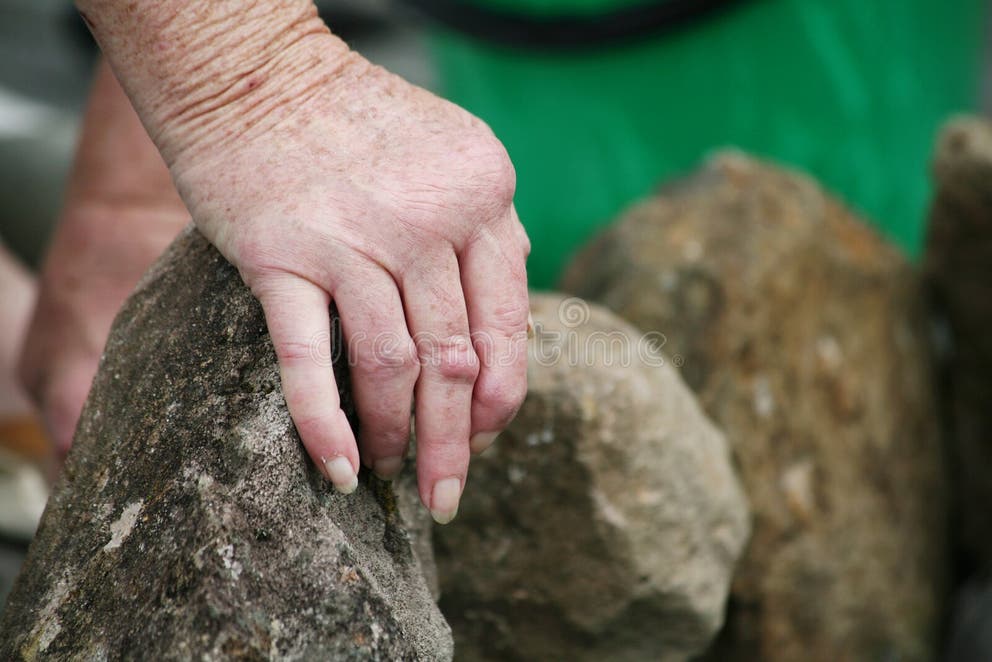 Arthritic Hands Moving Rocks Stock Photo - Image of garden, senior ...