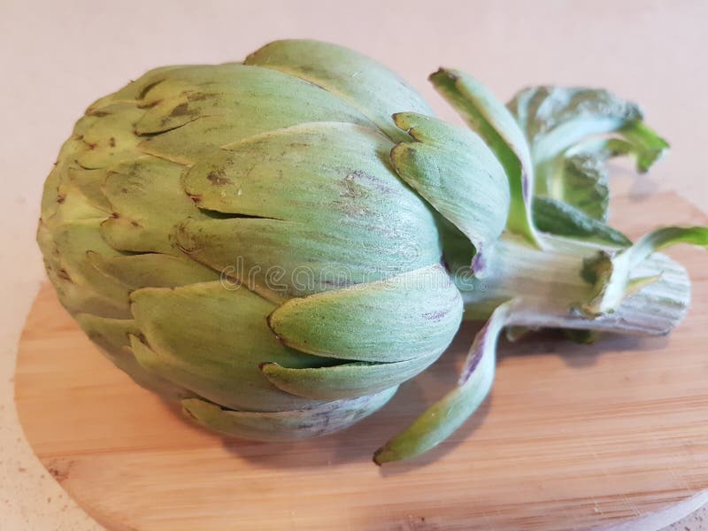 Artichoke stock image. Image of digestive, cook, plant - 90510439