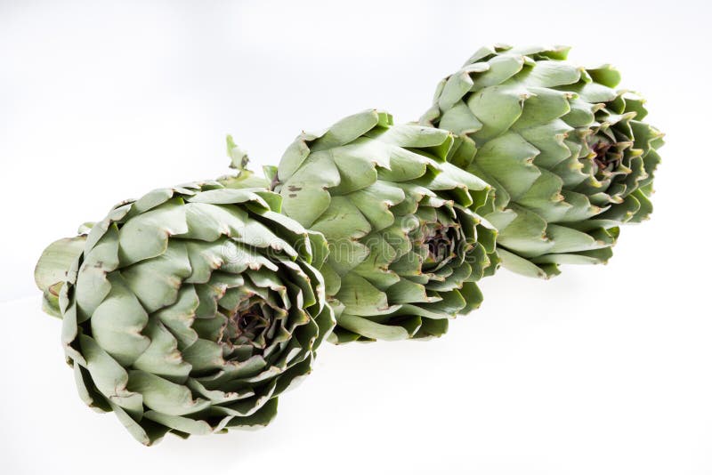 Artichokes stock image. Image of vegetables, inside - 154261389