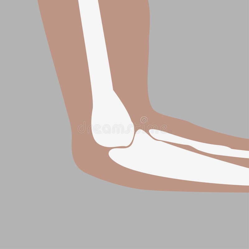 Le joint de coude illustration de vecteur. Illustration du articulation ...