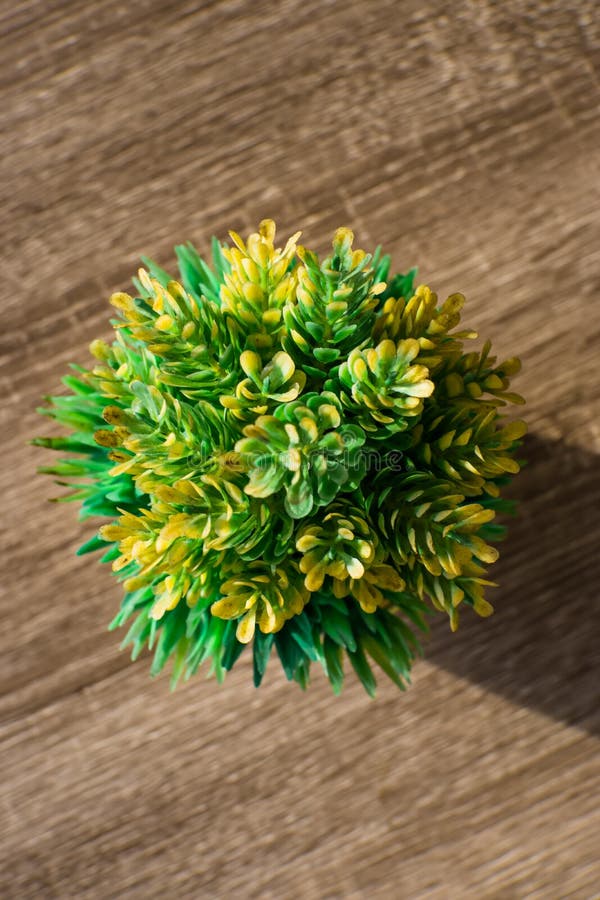 Artifical Beautiful Flower upon the Wood Table Stock Image - Image of ...