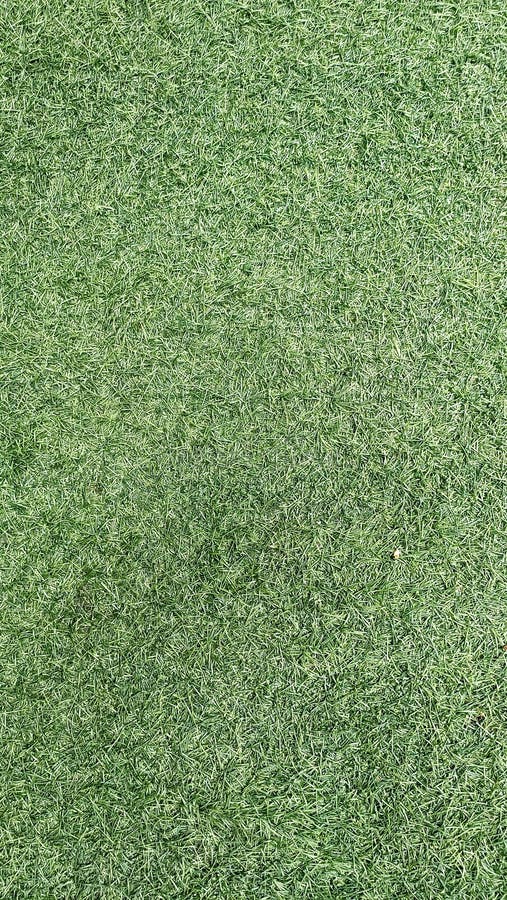 Artifical Grass Texture stock photo. Image of environmental - 261709040