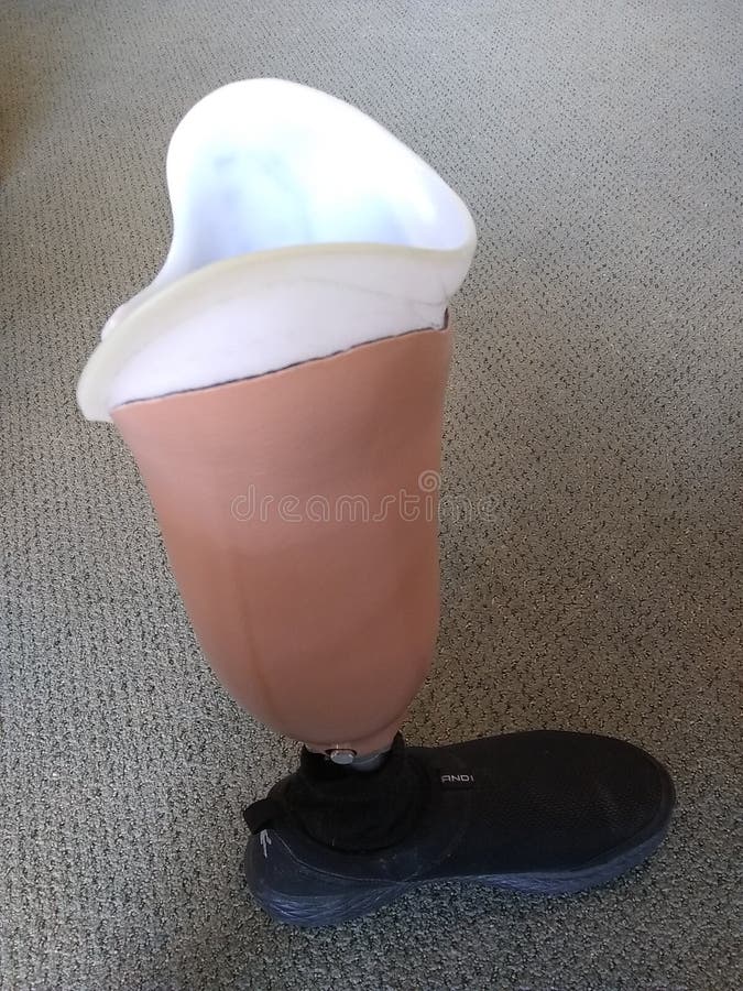 Artifical Leg Shell Stock Photos - Free & Royalty-Free Stock Photos ...