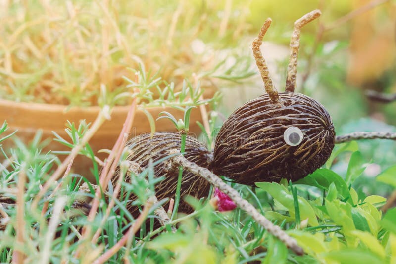 An Artificial Ant Statue Made from Coconut, Stock Photo - Image of ...