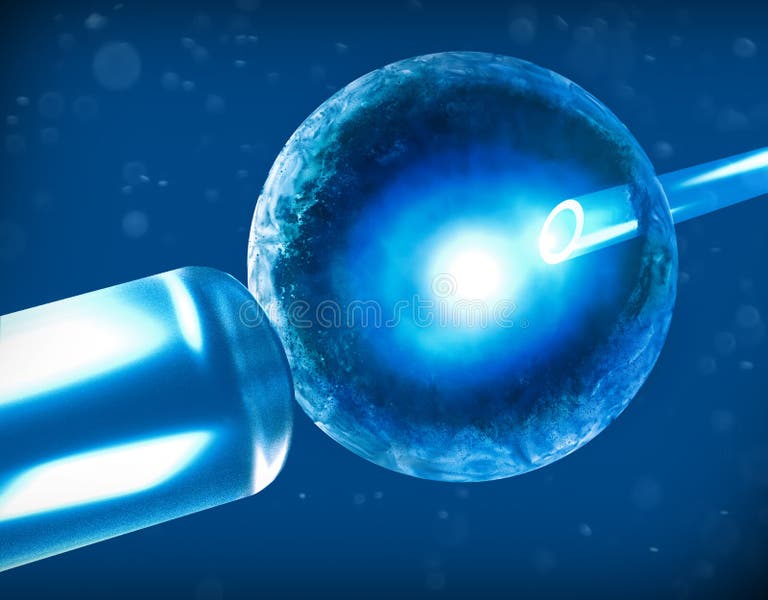 Artificial or Assisted Fertilization, Ovum Under a Microscope Stock ...