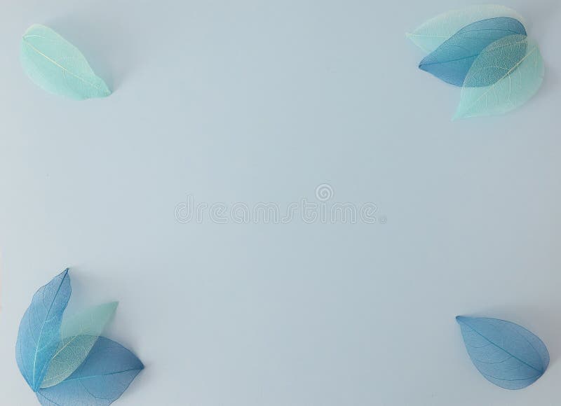 Artificial Blue Leaf Skeletons, Flat Plan, Horizontal Composition. Blue ...
