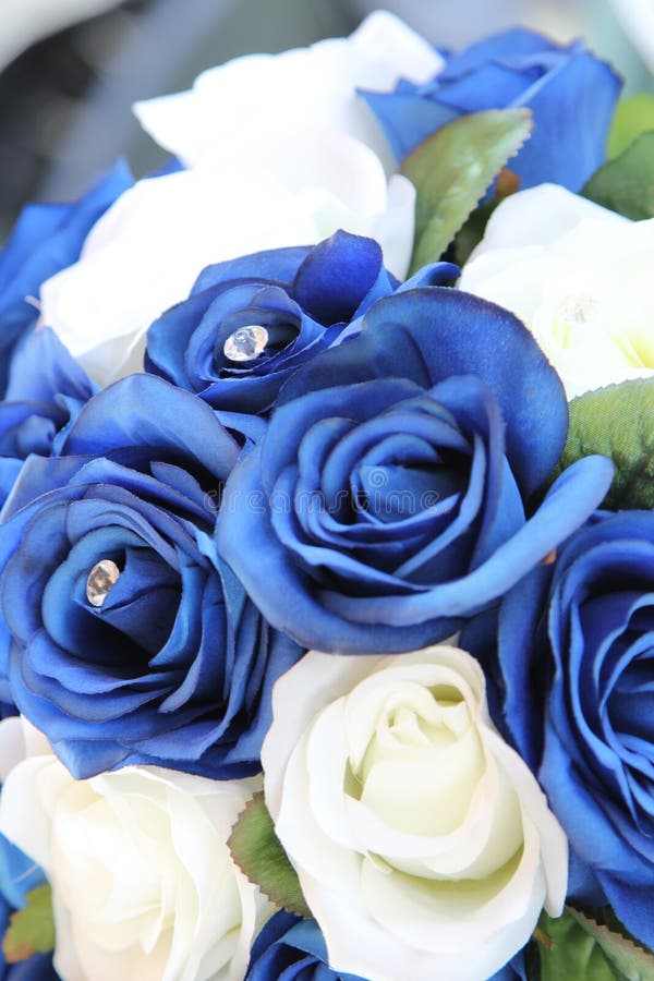 Artificial Blue and White Roses Stock Photo - Image of white, summer ...