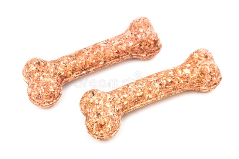 Artificial a bone stock photo. Image of white, meaty, single - 4880884