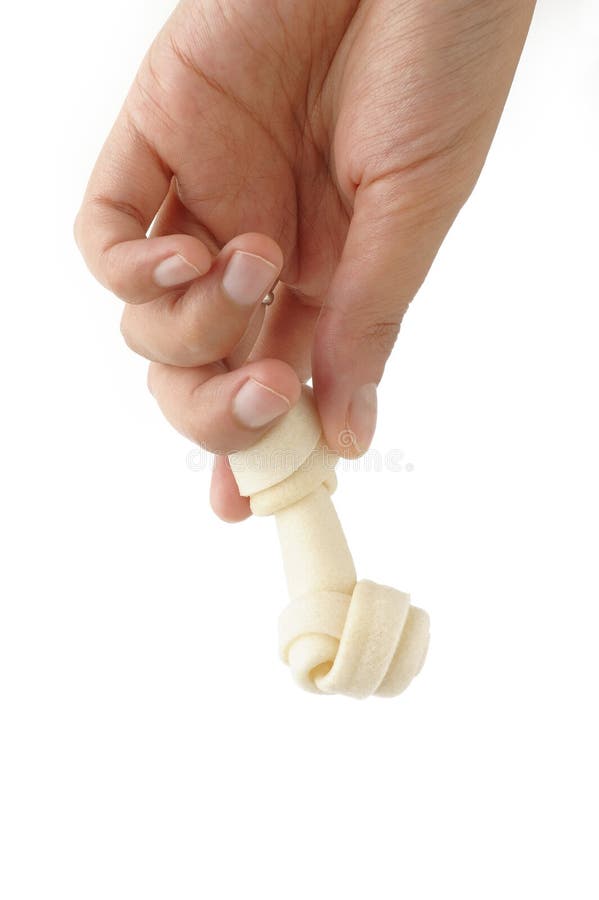 Artificial Bones Hands Women Stock Photos - Free & Royalty-Free Stock ...