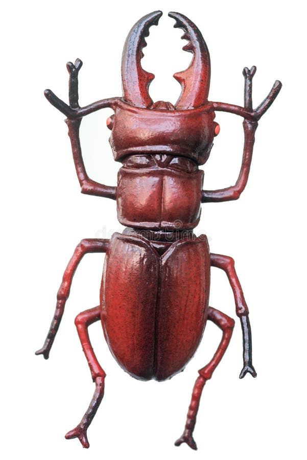 Artificial Bugs Isolated on White Background Stock Image - Image of ...